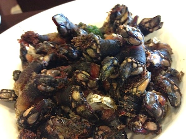 Cómo conservar el percebe en verano | Culinariosidad - Blog elcorreo.com